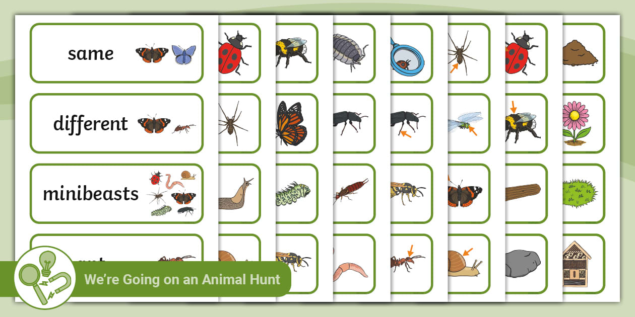 Kindergarten Science Vocabulary Cards: We're Going on an Animal Hunt