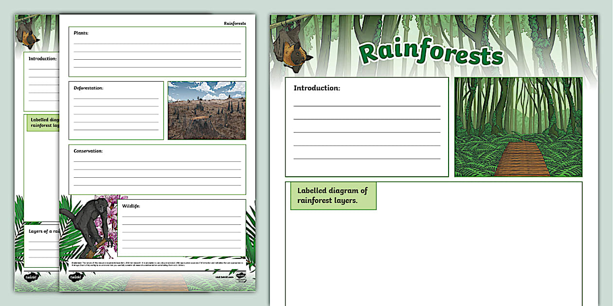 Rainforests Non-Chronological Report Template (teacher made)