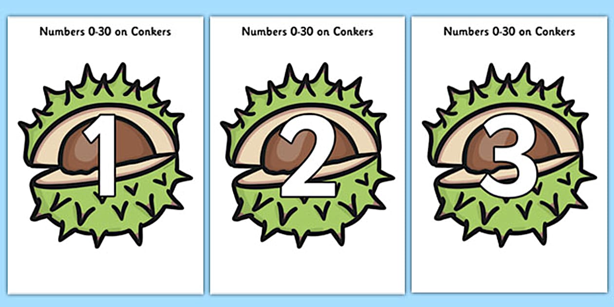 Numbers 0–30 on Conkers - Early Years Learning - Twinkl
