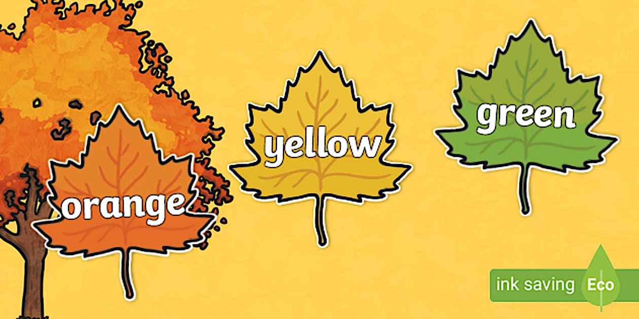Welsh Colour Words on Autumn Leaves (professor feito)