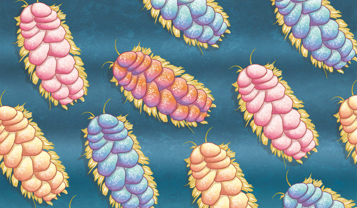 Glitter Worms - Twinkl NewsRoom - Twinkl