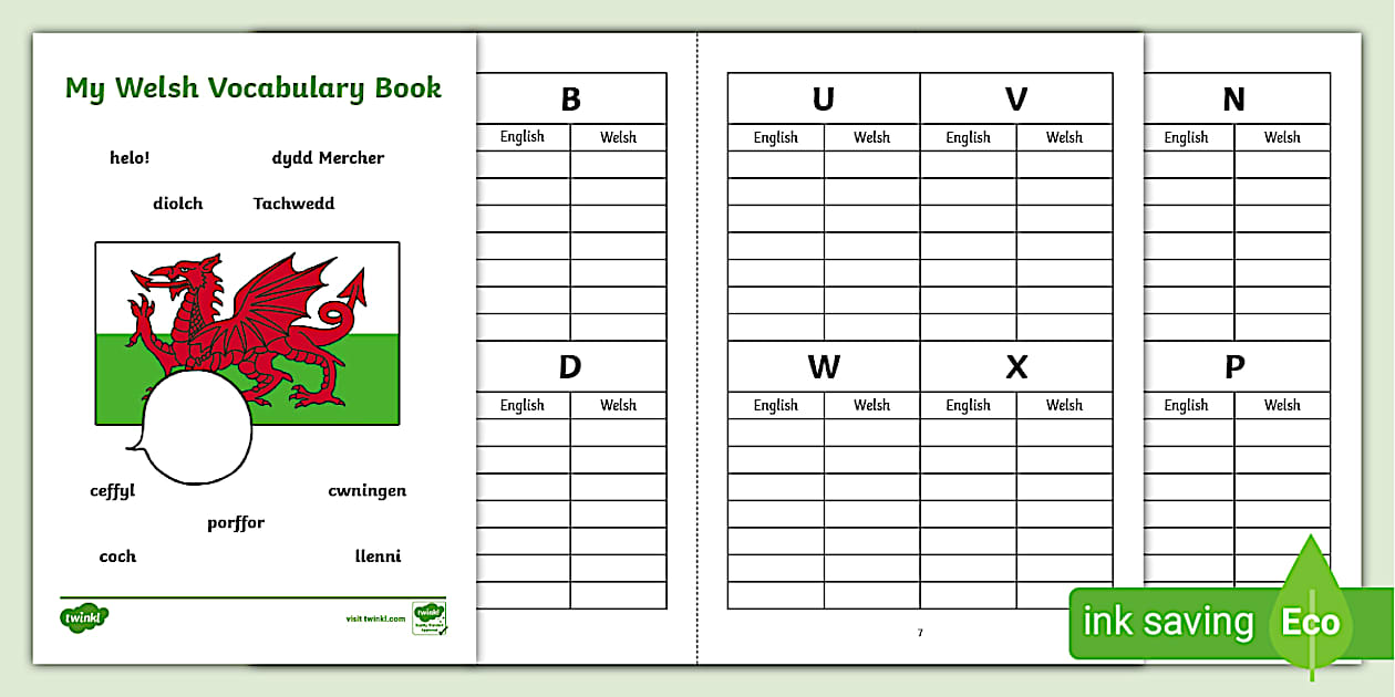 Learn Welsh: My Vocabulary Book (Teacher-Made) - Twinkl