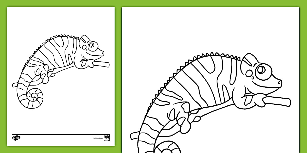 Chameleon Coloring Page (teacher made) - Twinkl