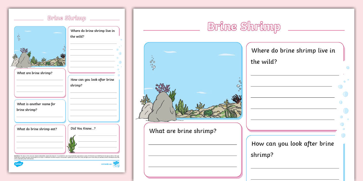 Brine Shrimp Fact File Template (teacher made) - Twinkl