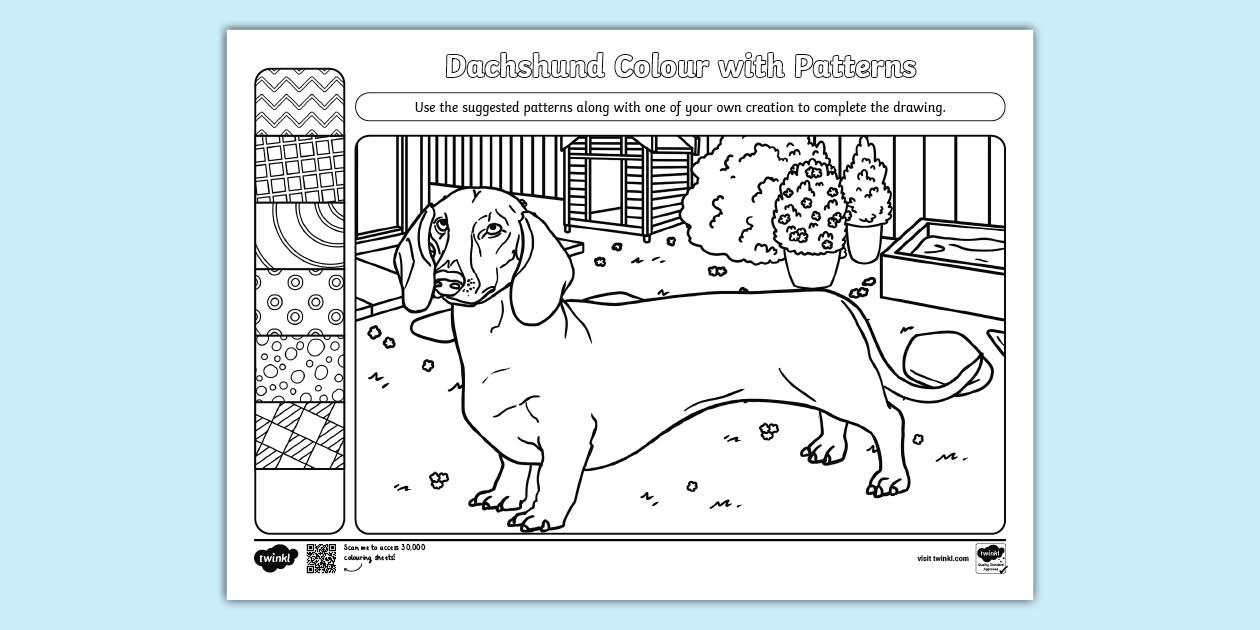 Dachshund Colour with Patterns Activity (teacher made)
