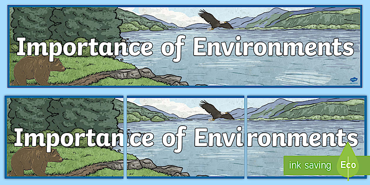 Year 4 AC Geography Environments Display Banner - Twinkl