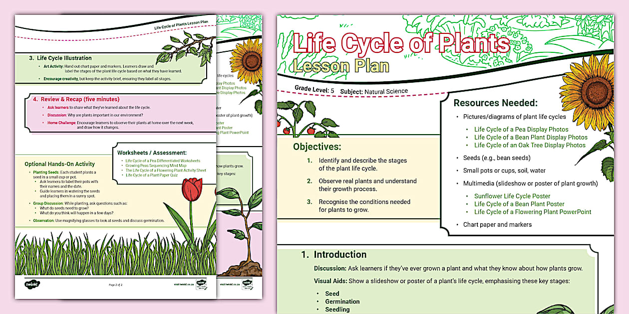 Life Cycle of Plants Lesson Plan Grade 5 - Twinkl
