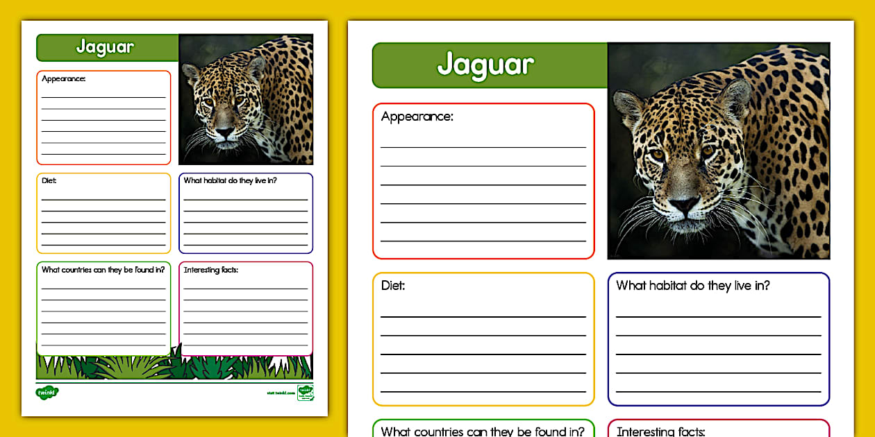 Jaguar Research Worksheet for K-2nd Grade - Twinkl