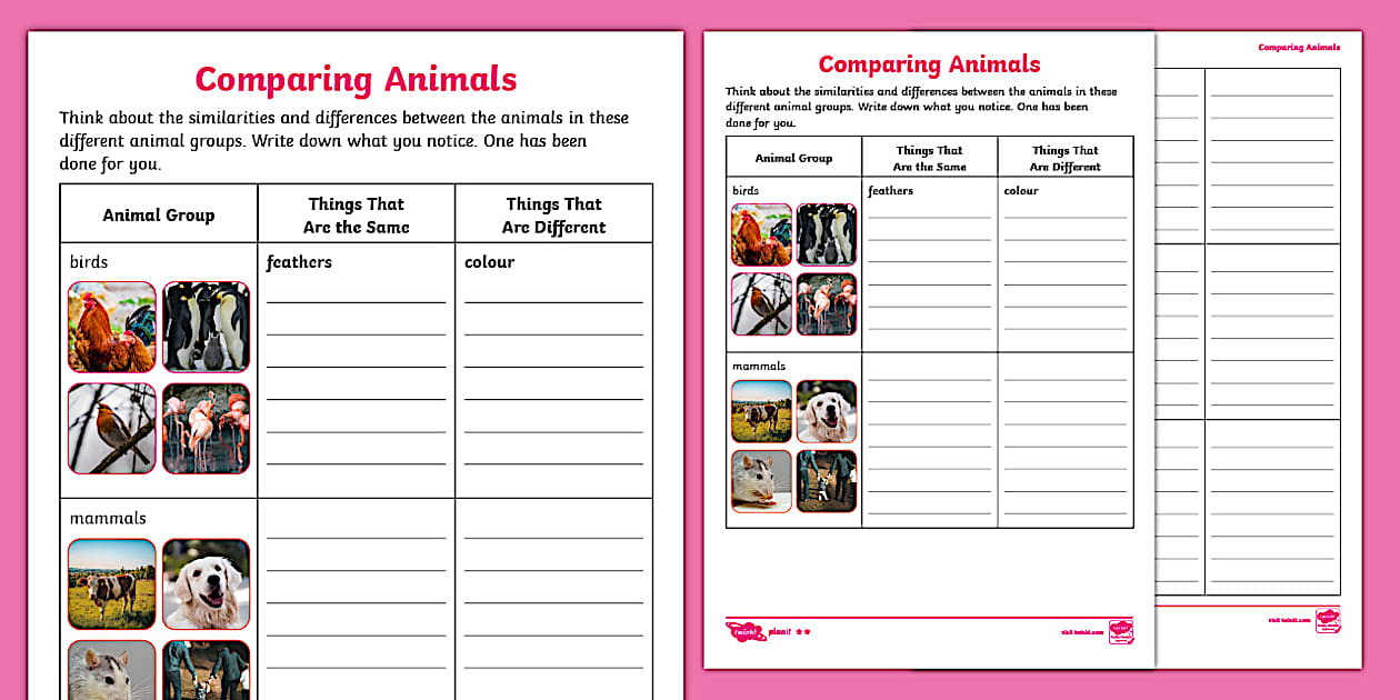 Y1 Comparing Animals Activity Sheet (teacher made) - Twinkl