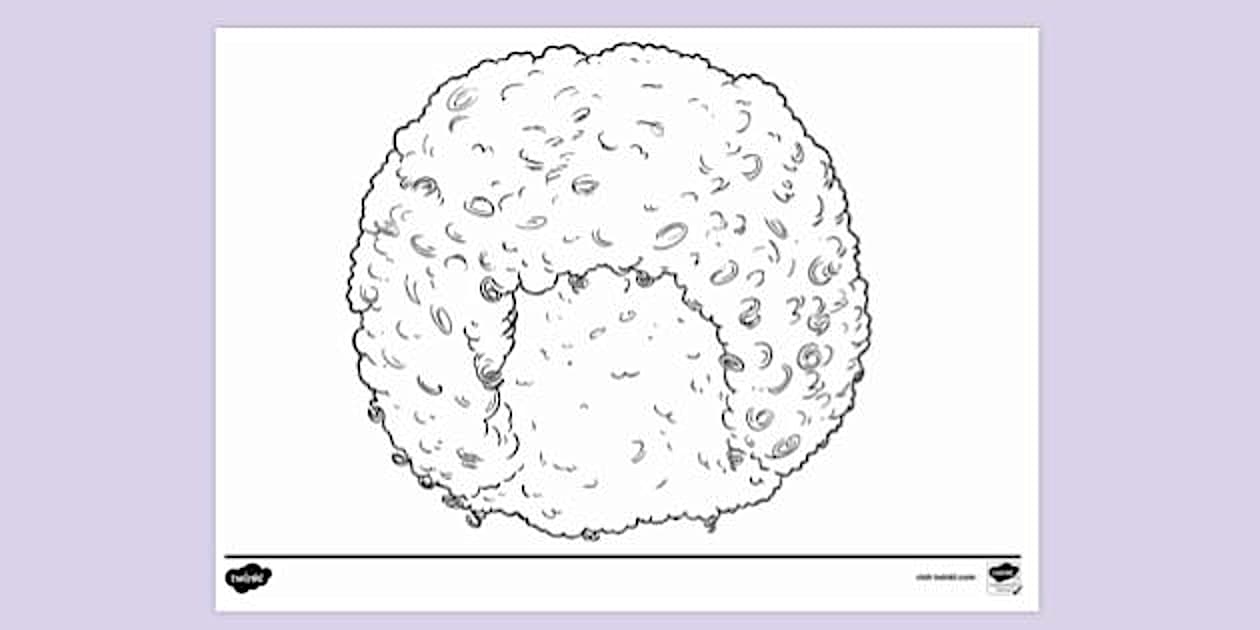 Clown Wig - Colouring Sheet (Teacher-Made) - Twinkl