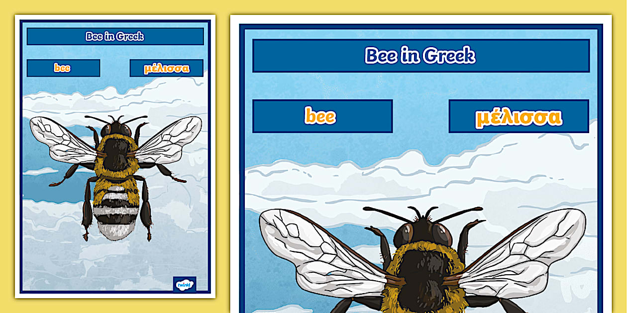 Bee in Greek Display Poster (Teacher-Made) - Twinkl