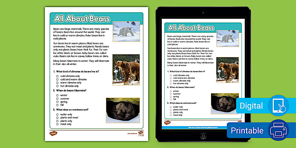 Bears Reading Comprehension | ELA | Twinkl USA - Twinkl