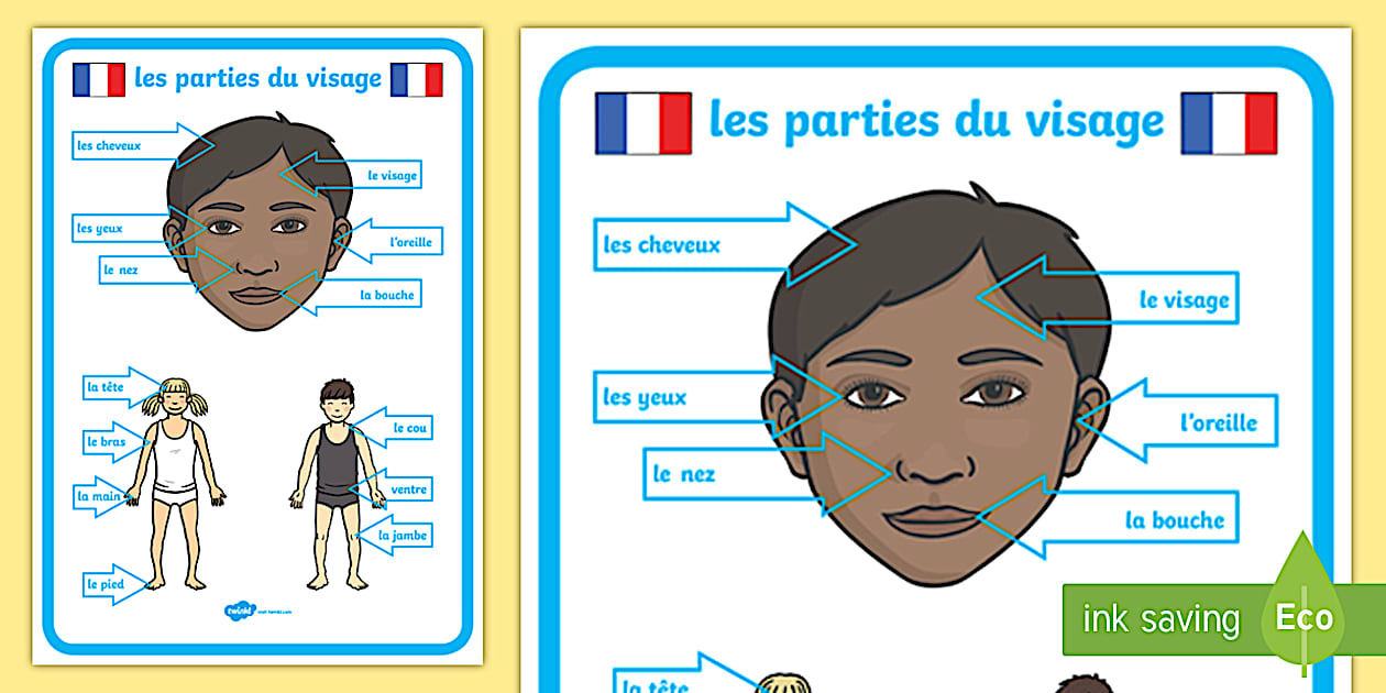 French Body Parts Posters (teacher made) - Twinkl
