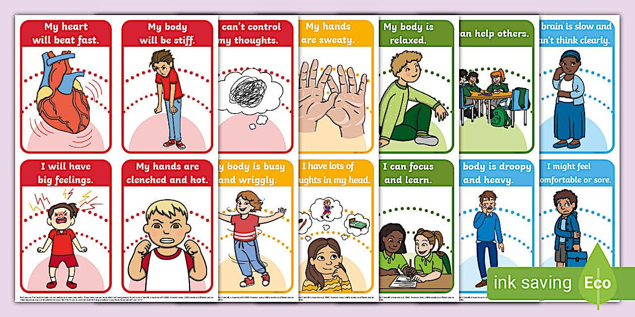 Areas of Regulation: My Body Flashcards (teacher made)