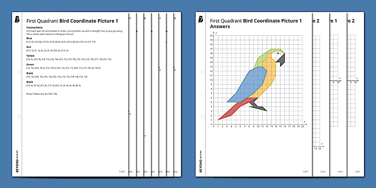 👉 Bird Coordinate Pictures (teacher made) - Twinkl
