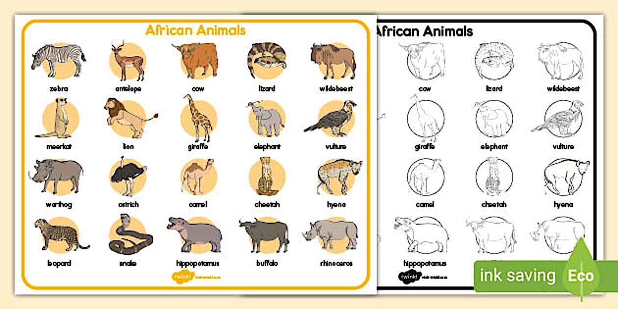 * NEW * African Animals Habitat Word Mat