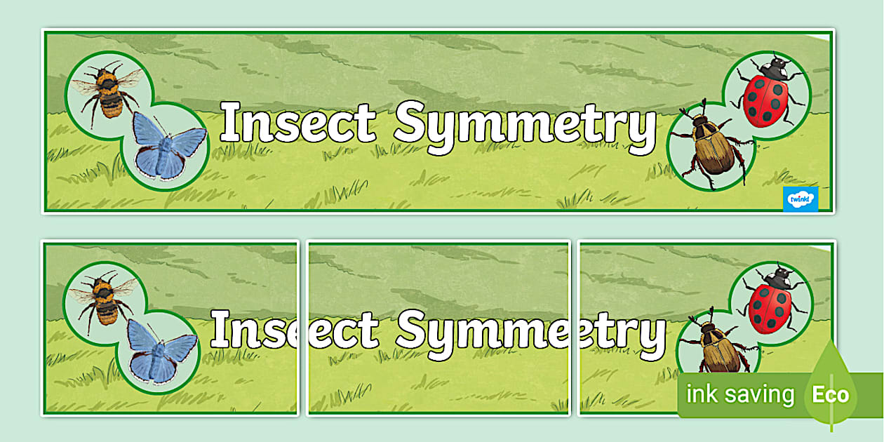 👉 Symmetry Display Banner (teacher made) - Twinkl