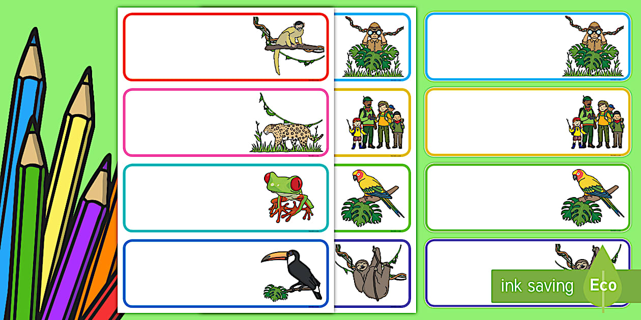 Editable Explorer Drawer Labels (teacher made) - Twinkl