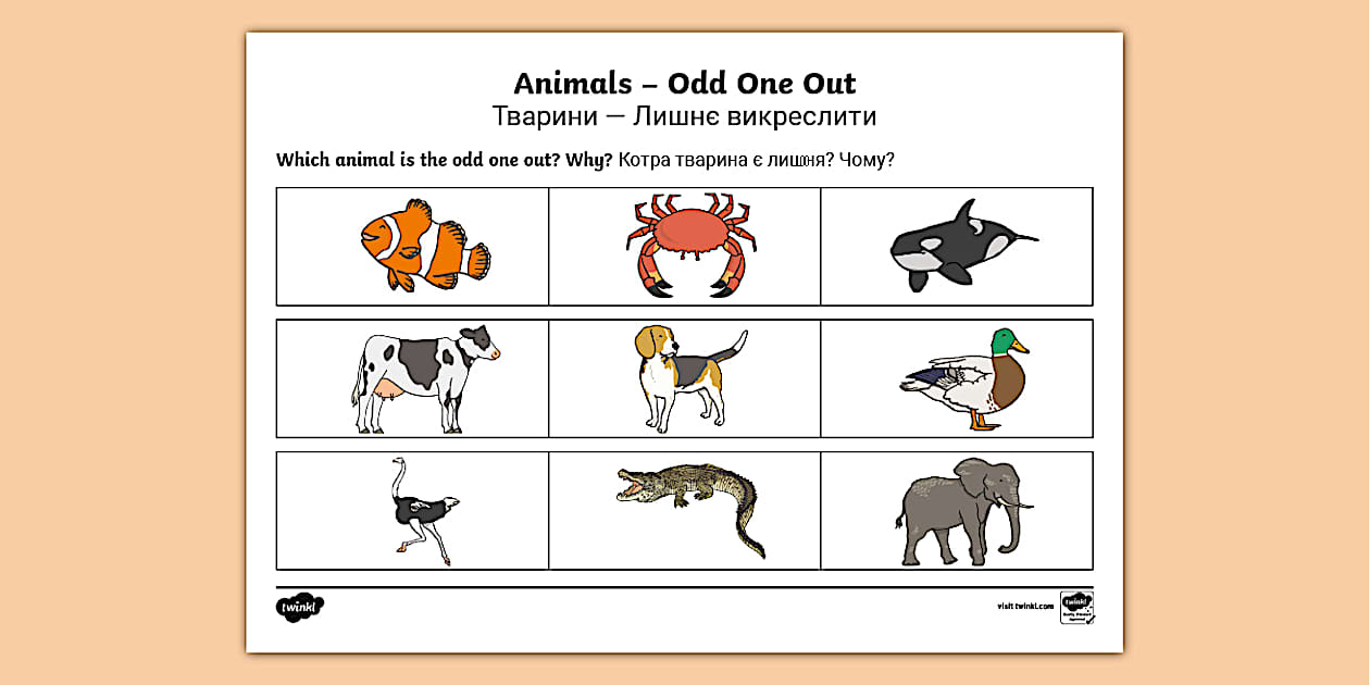 FREE! - Ukrainian Translation Animals Odd One Out Sheet