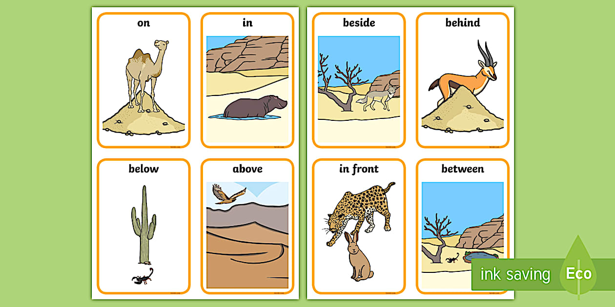 Desert Themed Positional Language Flash Cards (teacher made)