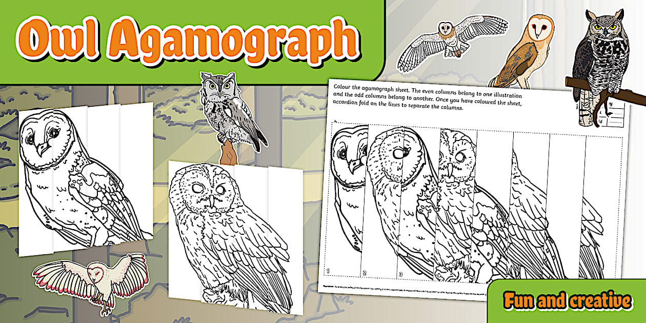 Foundation Phase Life Skills - Owl - Agamograph (CAPS aligned)
