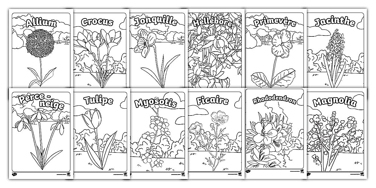 Les fleurs du printemps - coloriages (teacher made) - Twinkl
