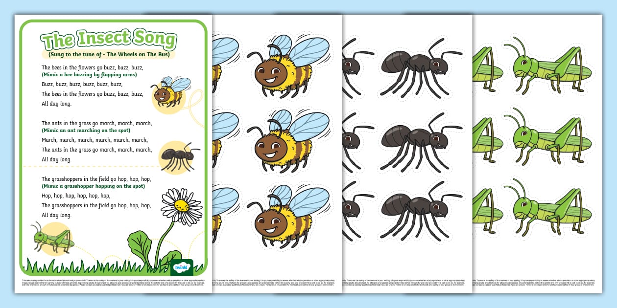 The Insect Song and Cut Outs (teacher made) - Twinkl