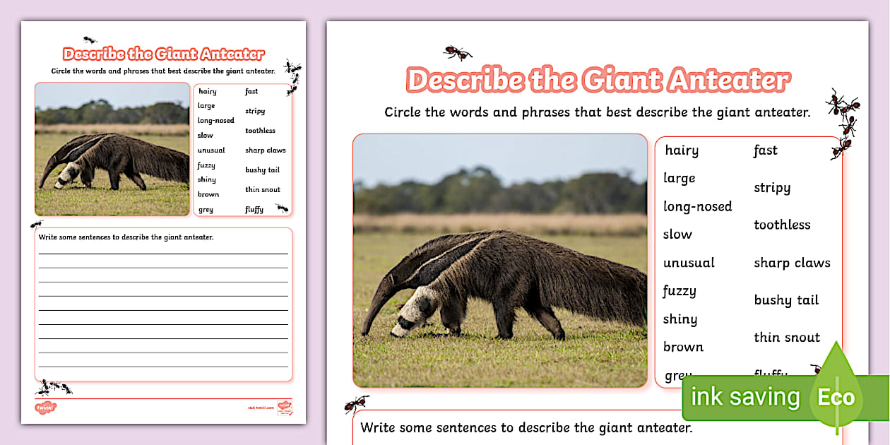 Describe the Giant Anteater Writing Worksheet - Twinkl - KS1