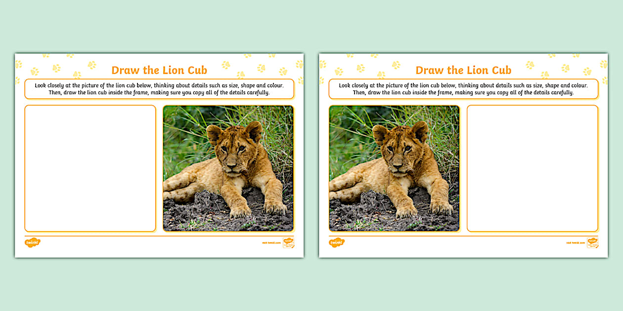 Draw the Lion Cub Worksheet (Teacher-Made) - Twinkl