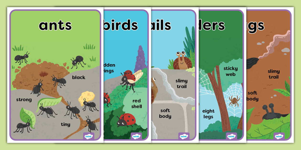 Originals First Words Posters: Minibeasts Adjectives