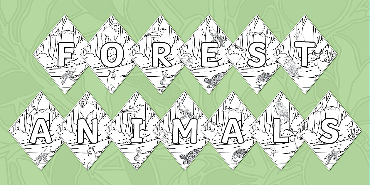 Forest Animals Rhombus Display Shapes