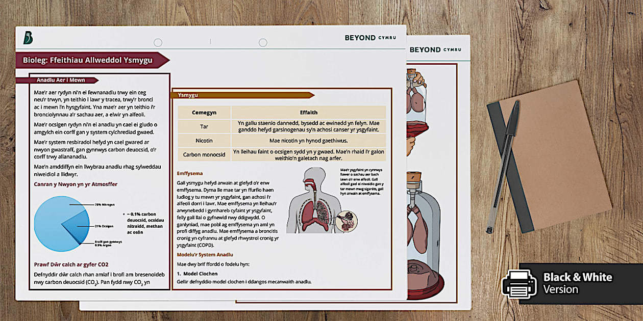 Mat Gweithgaredd Bioleg: Ffeithiau Allweddol Ysmygu - Twinkl