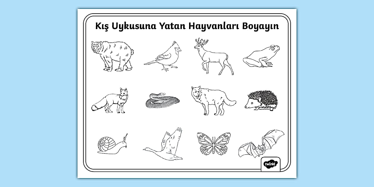 Kış Uykusuna Yatan Hayvanlar | Boyama Etkinliği