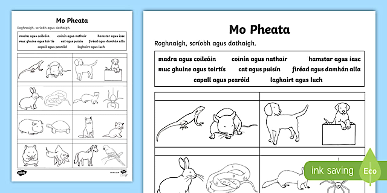 Mo Pheata, Roghnaigh agus Scríobh Worksheet / Worksheet-Irish, worksheet