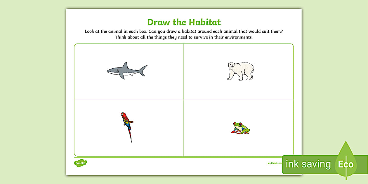 Draw the Habitat Activity Sheet (teacher made) - Twinkl