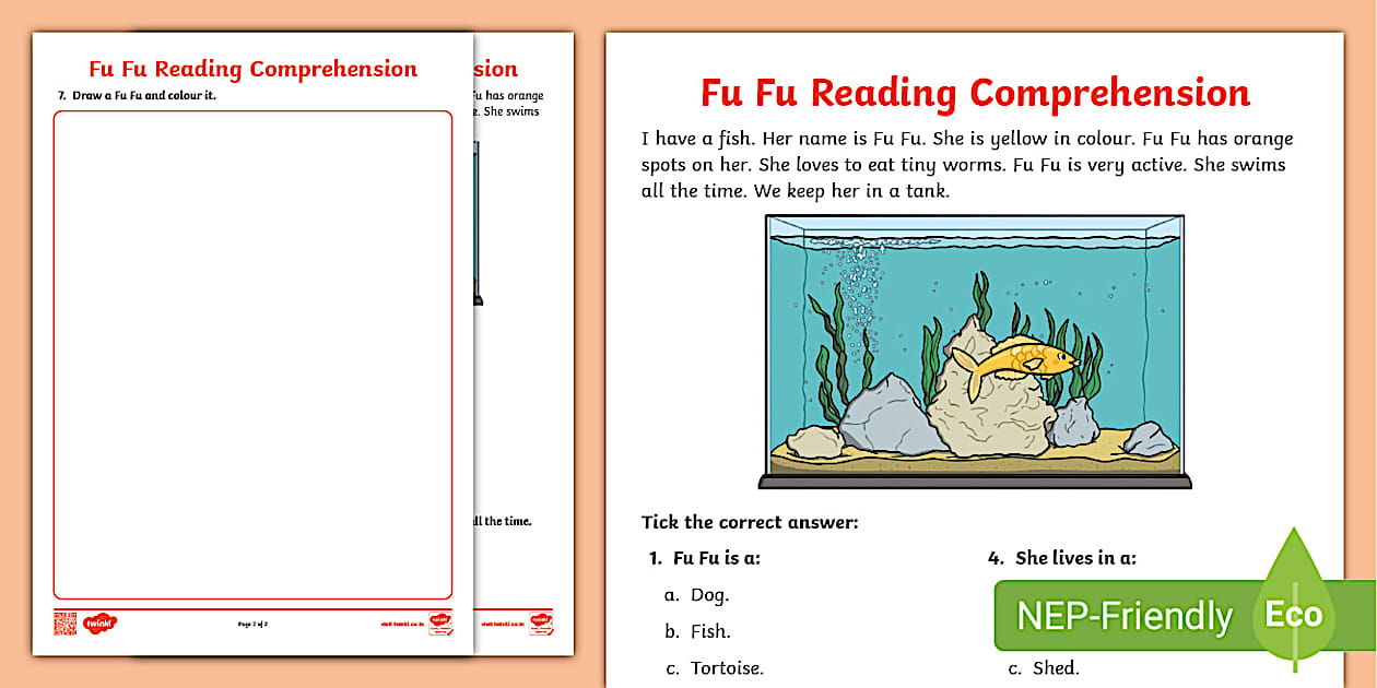 Fu Fu Reading Comprehension (teacher made) - Twinkl
