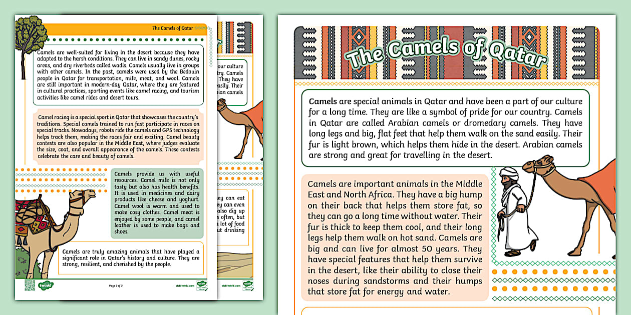 The Camel Fact File (teacher made) - Twinkl