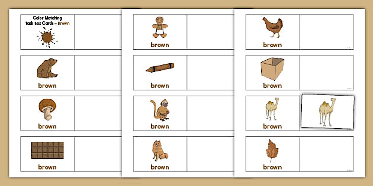 Color Matching Task Box Cards-Brown (teacher made) - Twinkl