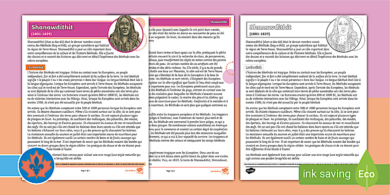 Shanawdithit Reading Comprehension French