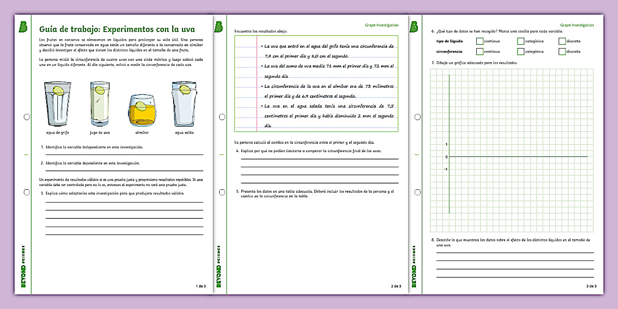 Método científico - experimento de la uva - Twinkl Colombia
