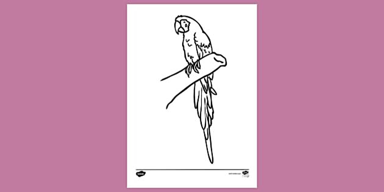 Crying Parrot Colouring | Colouring Sheet (teacher made)
