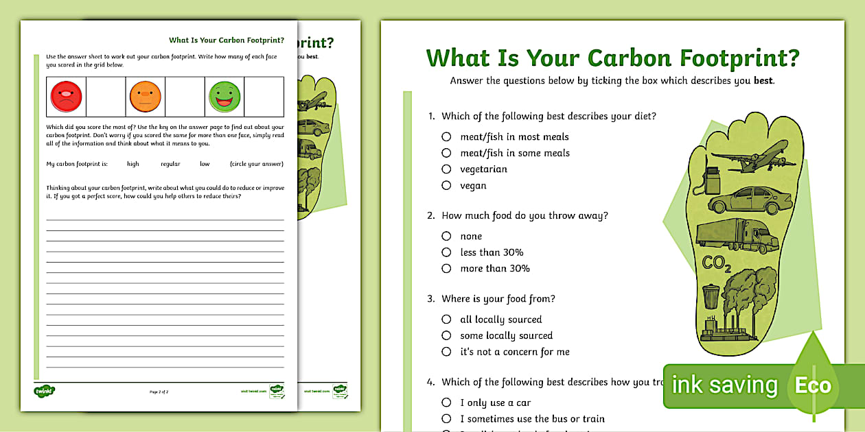 Earth Day Carbon Footprint (teacher made) - Twinkl