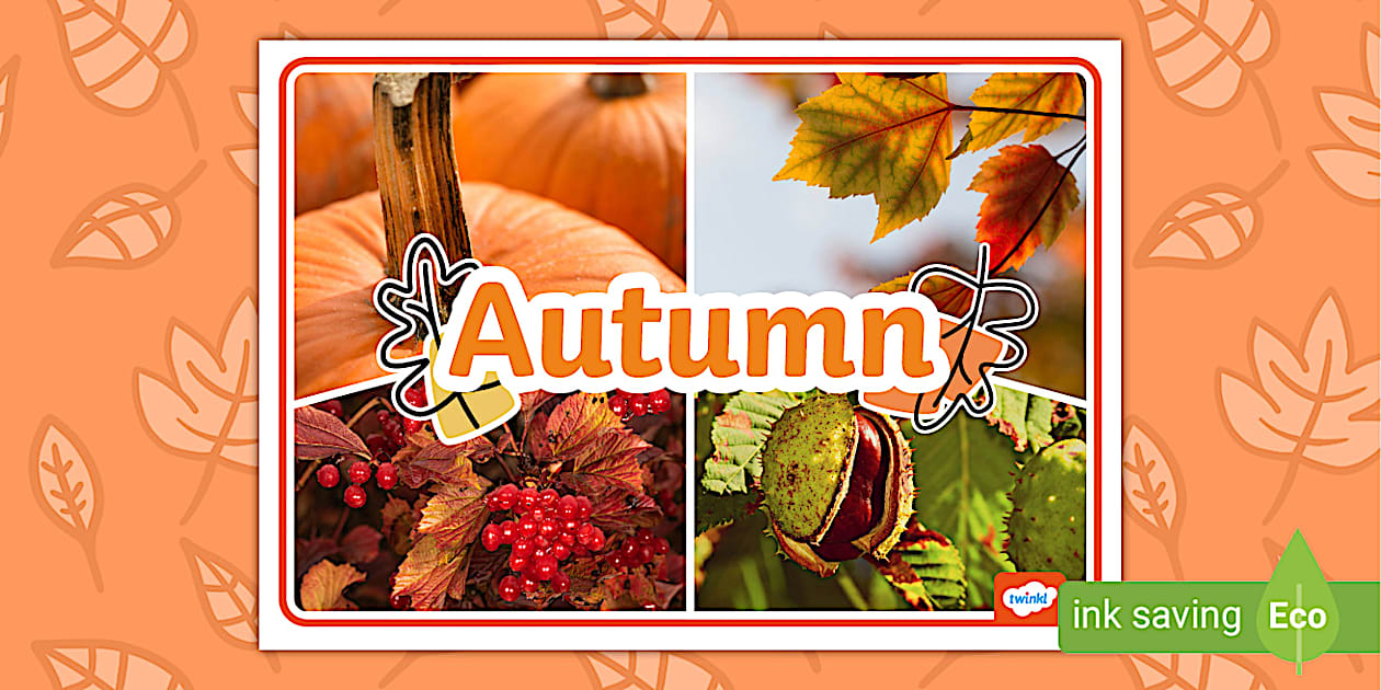 Autumn Display Poster (teacher made) - Twinkl