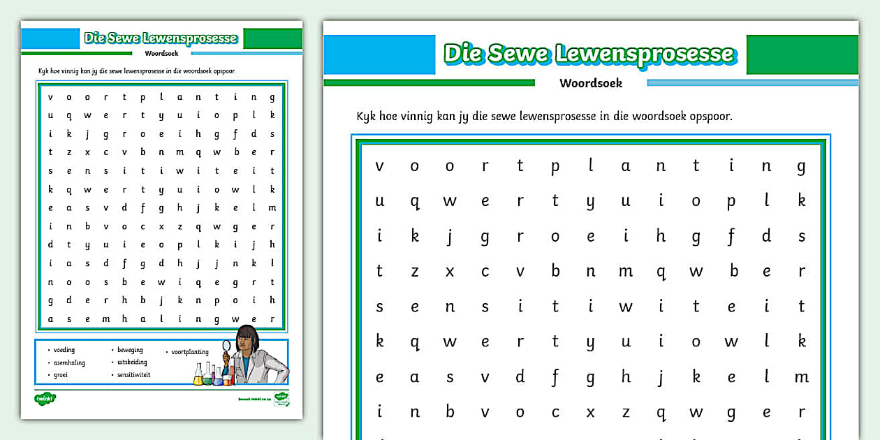Die Sewe Lewensprosesse Woordsoek (teacher made) - Twinkl