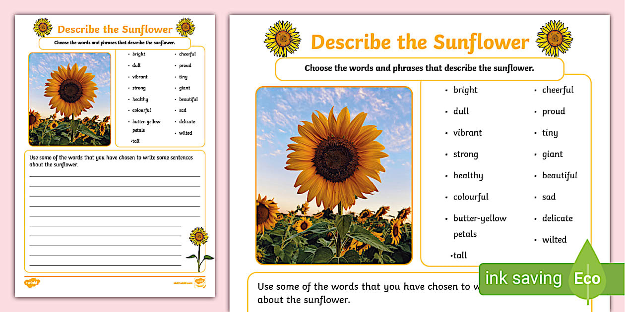 Describe the Sunflower Writing Activity (teacher made)