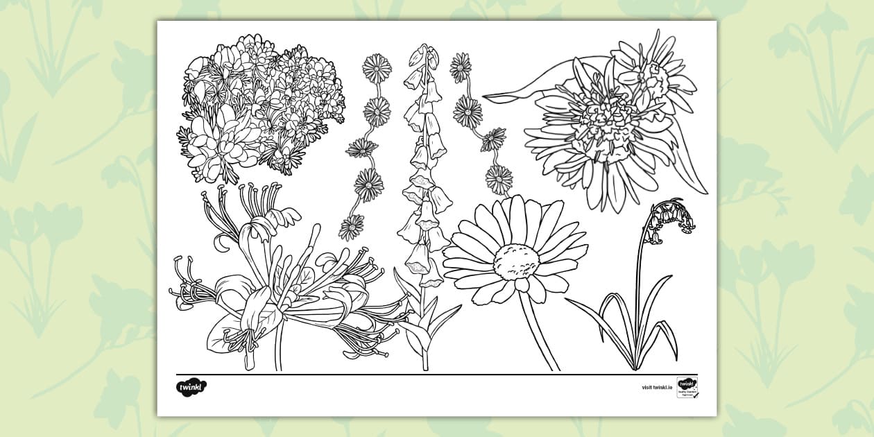 * NEW * Flowers of Ireland Doodle Colouring Sheet - Twinkl