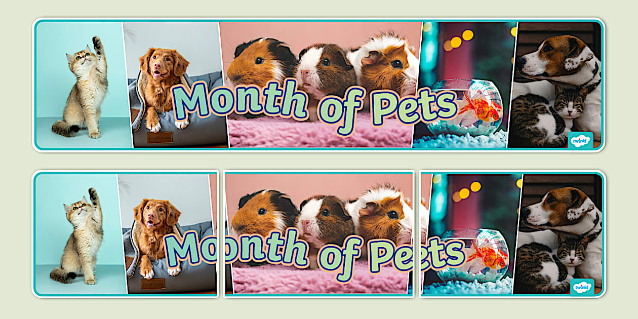 Month of Pets Photo Display Banner (teacher made) - Twinkl