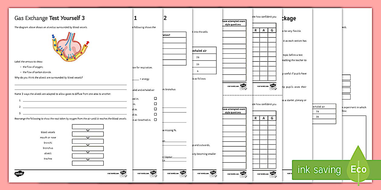 KS3 Gas Exchange Science Revision Pack | Beyond - Twinkl