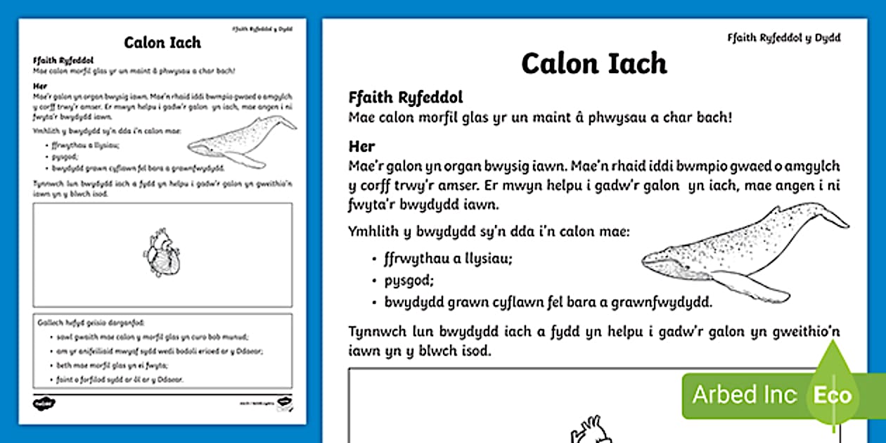 Taflen Weithgaredd Calon Iach (Teacher-Made) - Twinkl