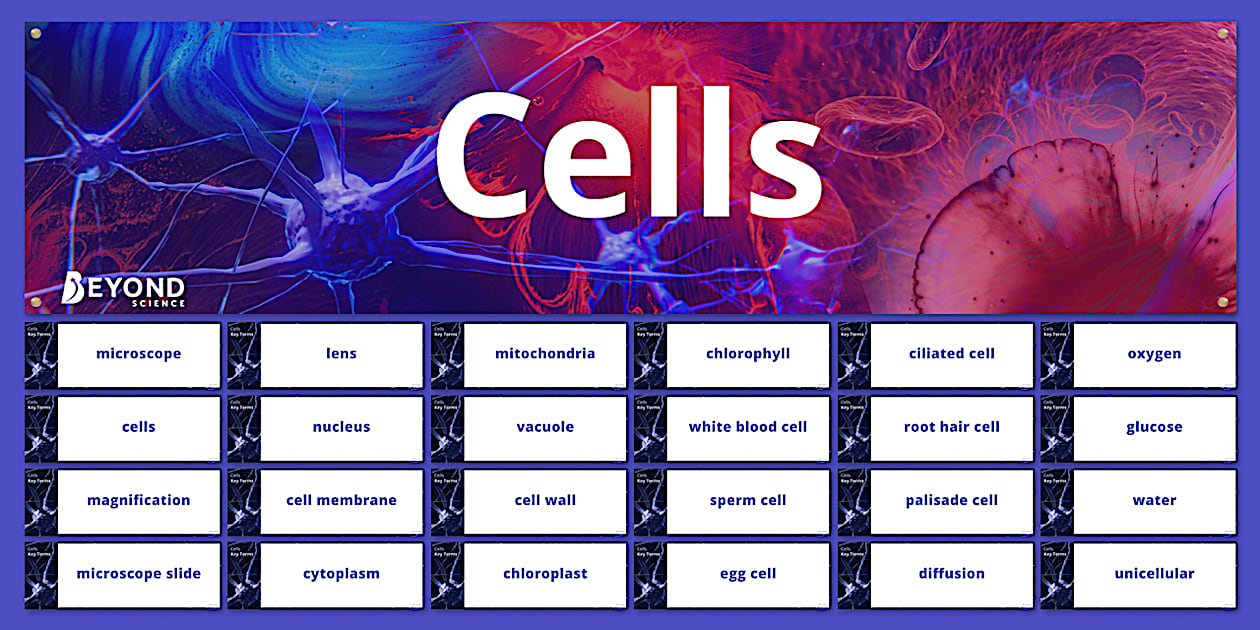 Cells Word Wall | Display Vocabulary | Biology - Twinkl